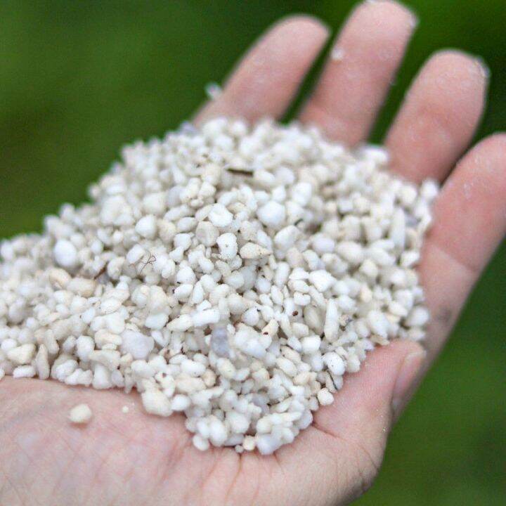 Perlite 2L (3-6mm) (Natural Expanded Volcanic Perlite) Suitable for ...