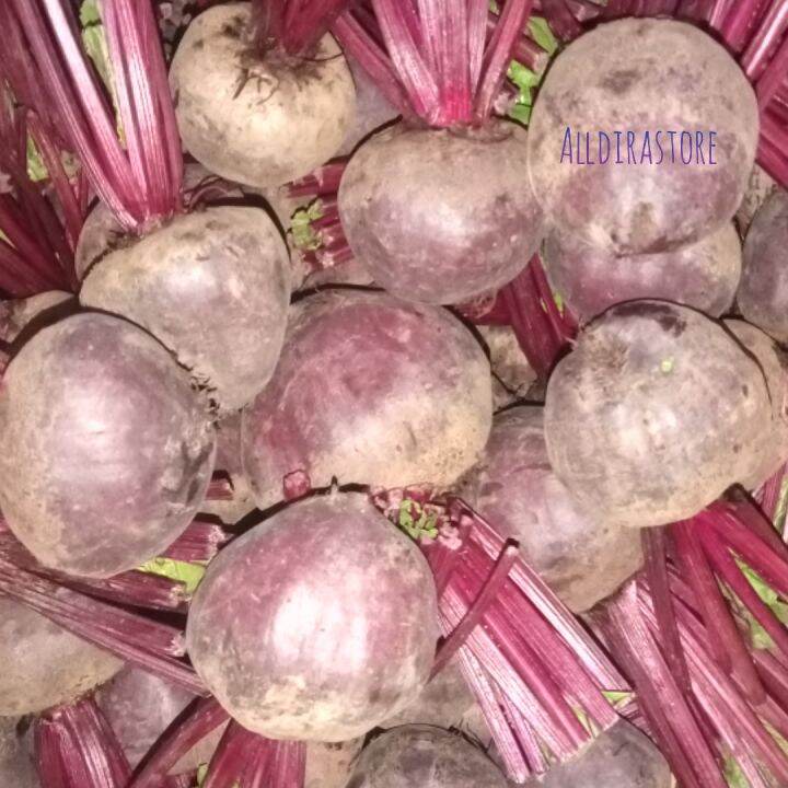 Buah Bit/Beet Root Fresh 1kg | Lazada Indonesia