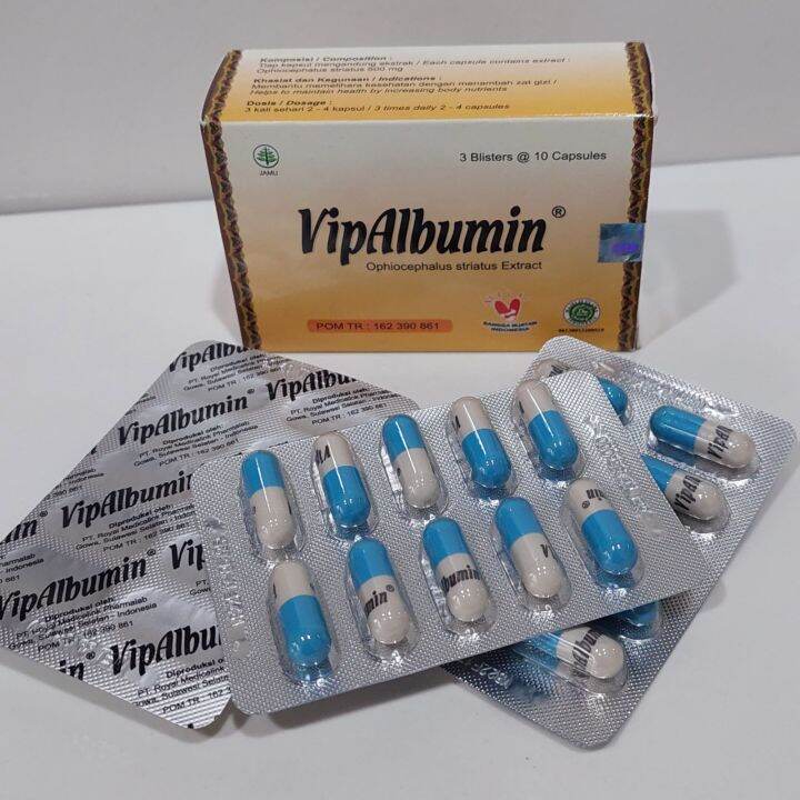 vip albumin kapsul ikan gabus strip isi 10kap | Lazada Indonesia