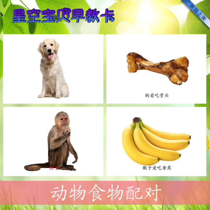 What to Eat What Animal Food Matching Cognitive Card Autism Training ...