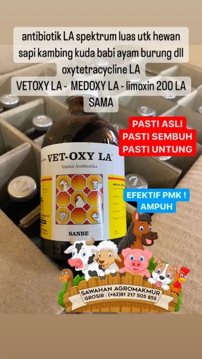 medoxy LA VETOXY LA 100ml obat hewan sapi anjing babi kambing kuda ...