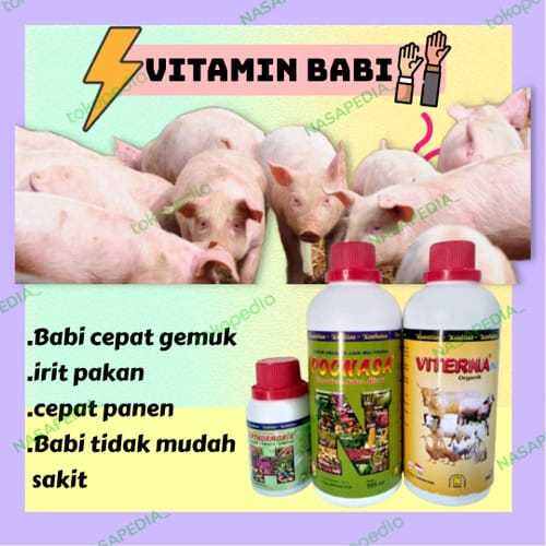 nutrisi Vitamin Babi Penggemuk Babi Obat Virus Babi Ternak Babi vitamin ...