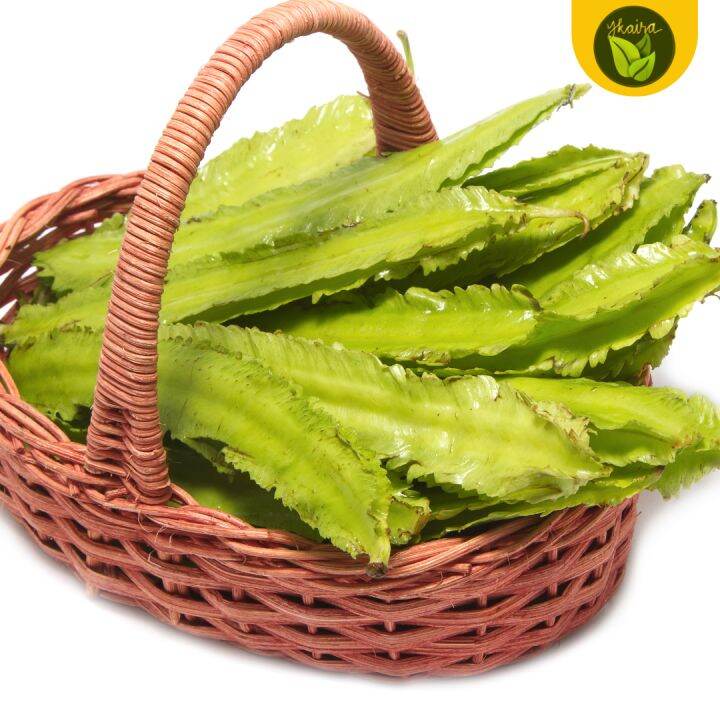 30 seeds for planting binhi pantanim kalamismis sigarilyas winged beans ...