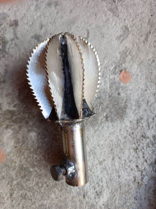 Coconut Grater Blade Ordinary | Lazada PH