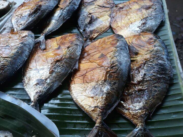 ikan semar asap khaz pemalang daging tebal 1 pak isi 3 | Lazada Indonesia