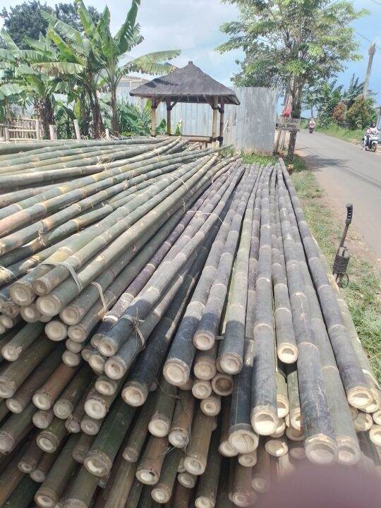 BAMBU HITAM UKURAN 7/8 CM PANJANG 6 M | Lazada Indonesia