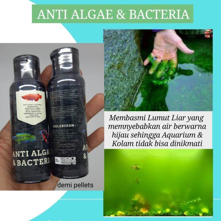 ANTI ALGAE Penghilang Lumut dan Bakteri merugikan untuk 5000 liter air ...