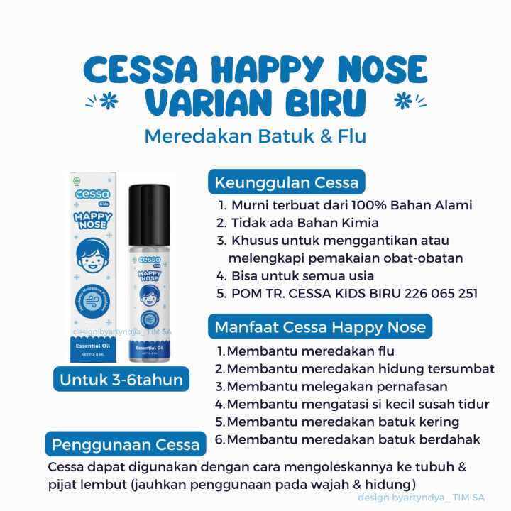 Cessa Kids Varian biru | Lazada Indonesia