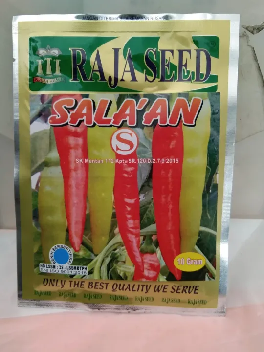benih cabai sala'an raja seed rawit putih 10gr | Lazada Indonesia