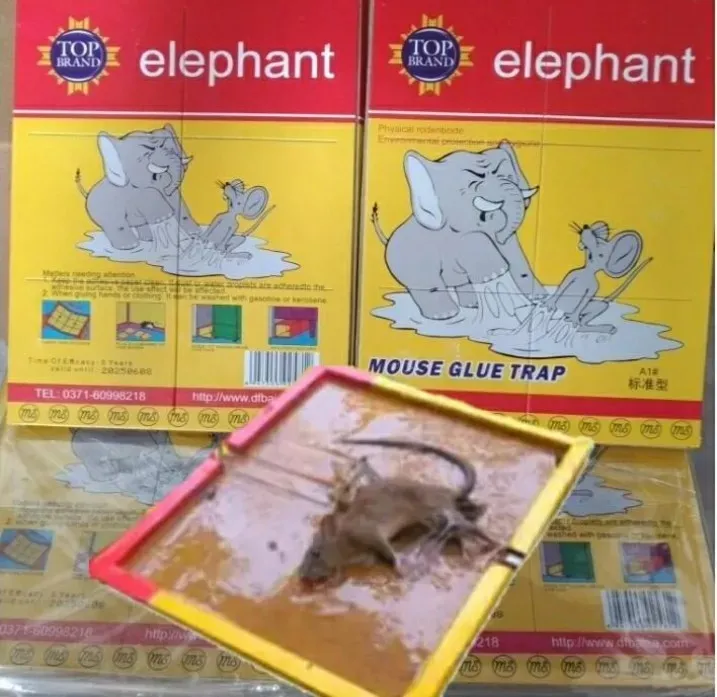 LEM TIKUS SUPER CAP GAJAH II SUPER LENGKET II SUPER AMPUH | Lazada ...