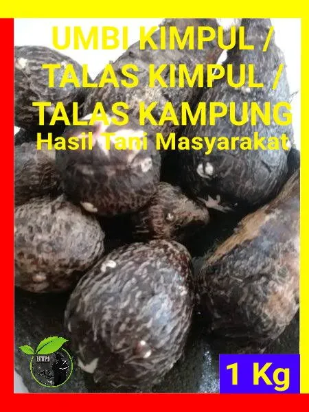 Umbi Kimpul / Talas Kampung / Talas Kimpul - 1 Kg | Lazada Indonesia