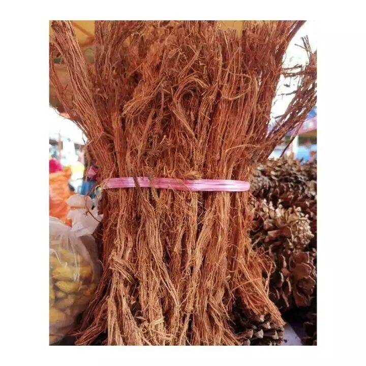 Akar Sintok /Akar Beluru ( 12 ikat ) | Lazada