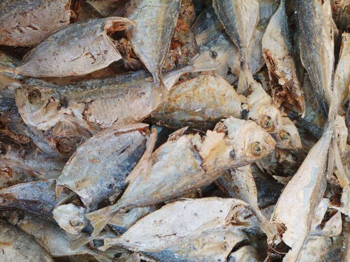 Ikan asin selar rebus 1KG | Lazada Indonesia