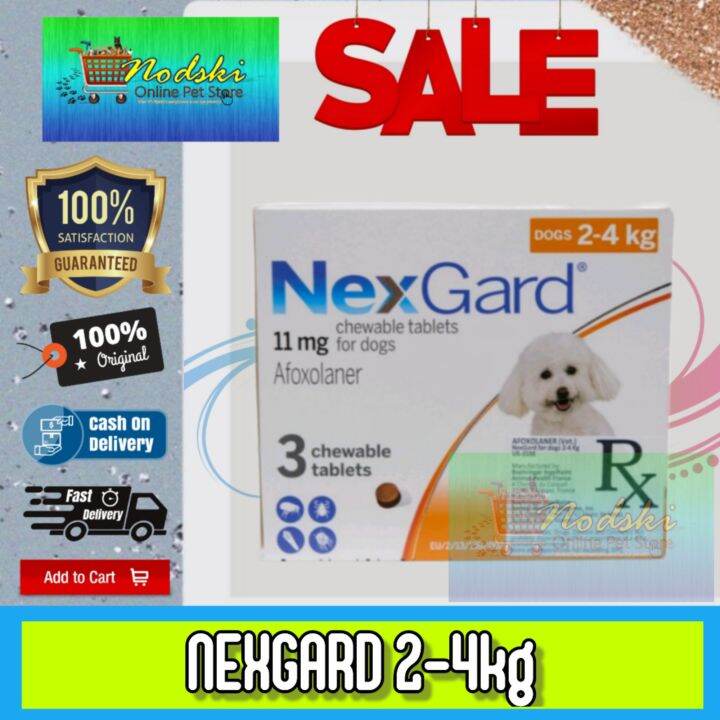 [NOPS] (Box of 3) Nexgard (2-4kg) Anti Tick and Flea Chewable Tablets ...