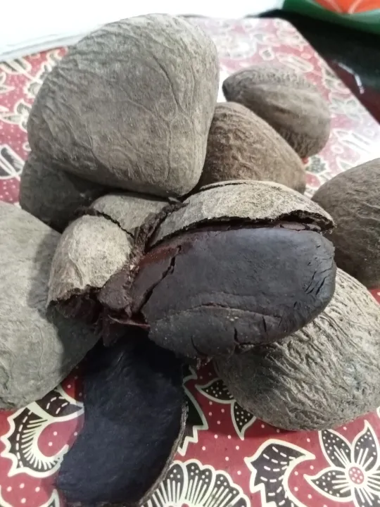 KLUWEK/KUNCUNG 1KG | Lazada Indonesia