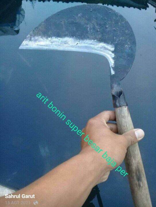 arit rumput asli baja per arit pemotong rumput asli Garut | Lazada ...