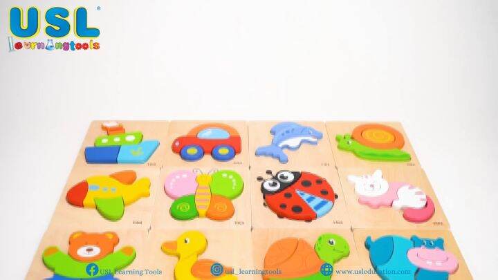 Handy Block Puzzle (Ladybird) - Early Learning & Educational Toys ...