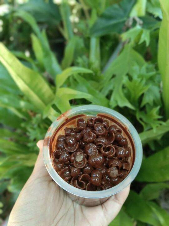 chocojar mini borong | Lazada