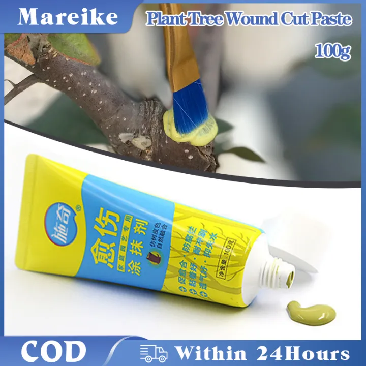 100g Plant Tree Wound Cut Paste Bonsai Pruning Cutting Paste Plant ...