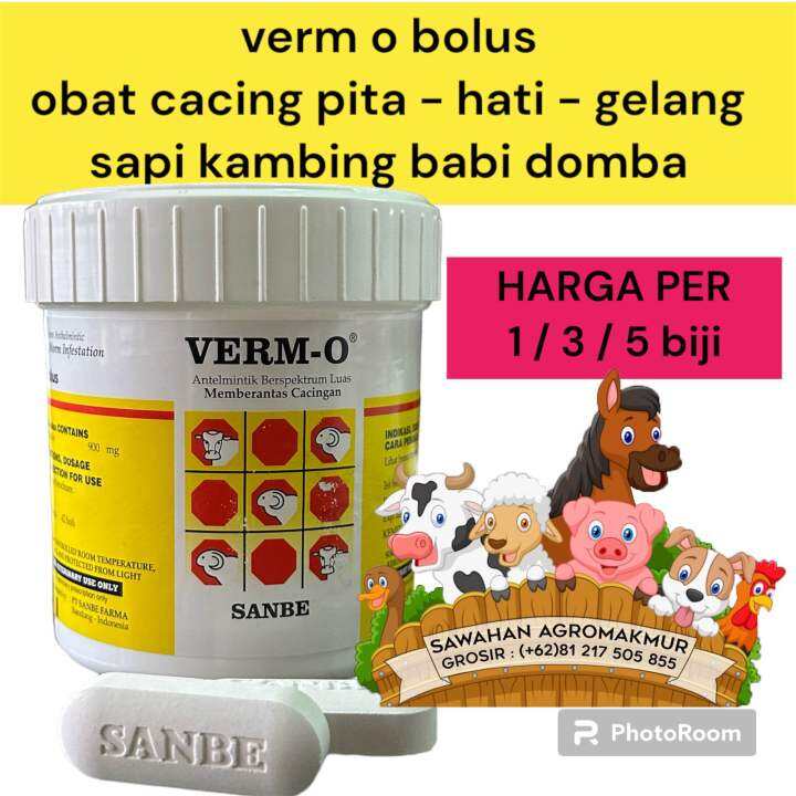 VERM O BOLUS obat cacing hewan SAPI KAMBING DOMBA BABI PEDET CEMPE ...