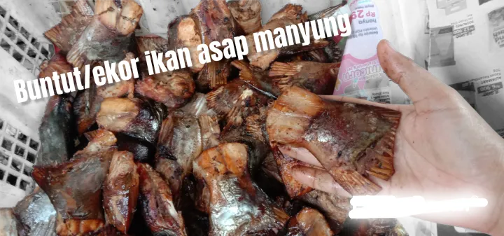 ekor/ buntut ikan asap manyung 500gr | Lazada Indonesia