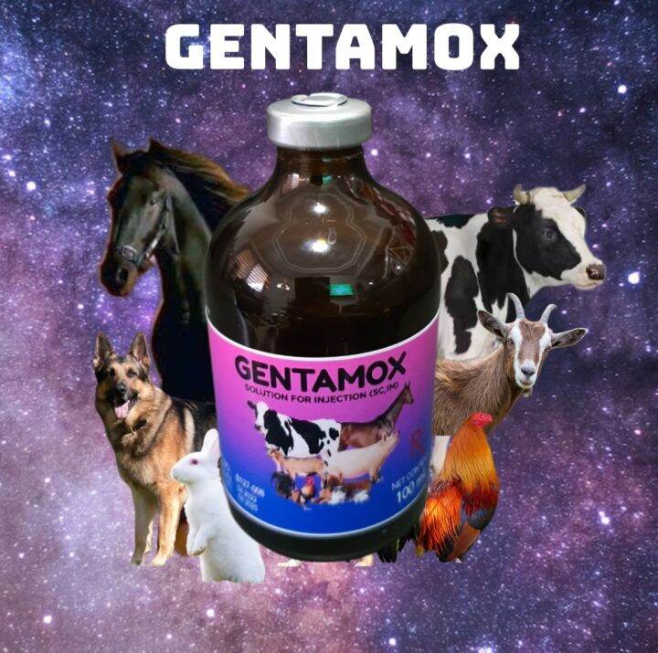 Gentamox 100ml | Lazada PH