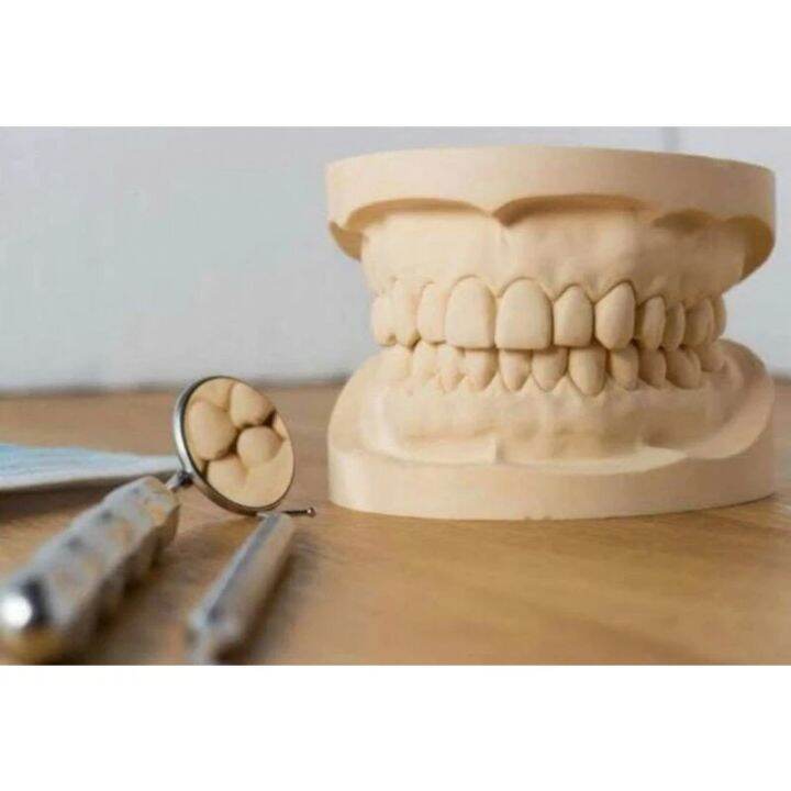 Dentulous Study Cast | Lazada PH