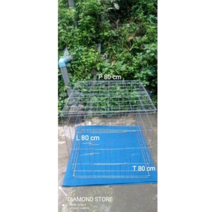 klambu ayam galvanis ukuran 80 persegi bahan kain peles mengkilap aman ...