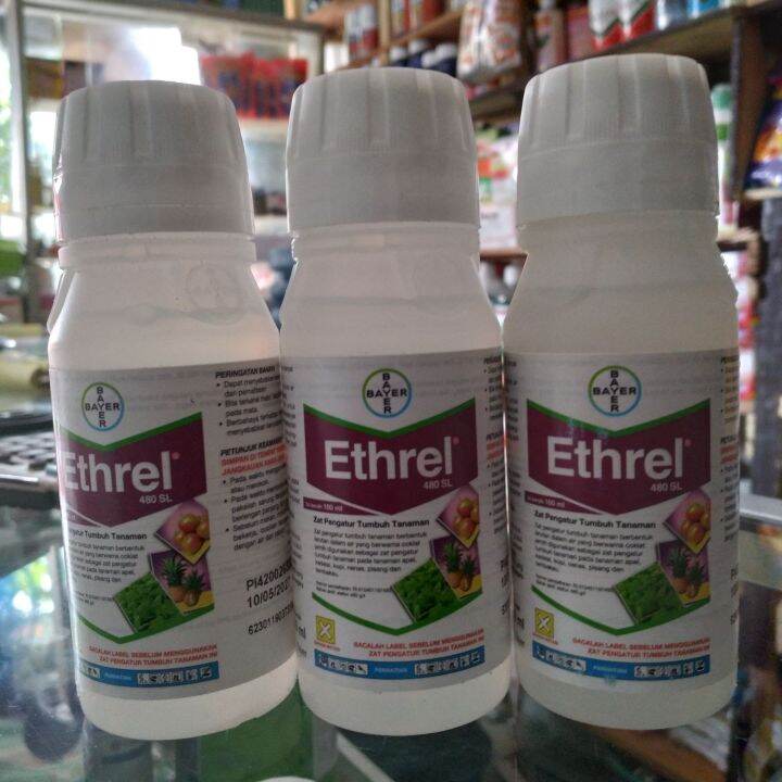 ETHREL 480 SL Pematang Buah dan Zat Pengatur Tumbuh 100ML | Lazada ...