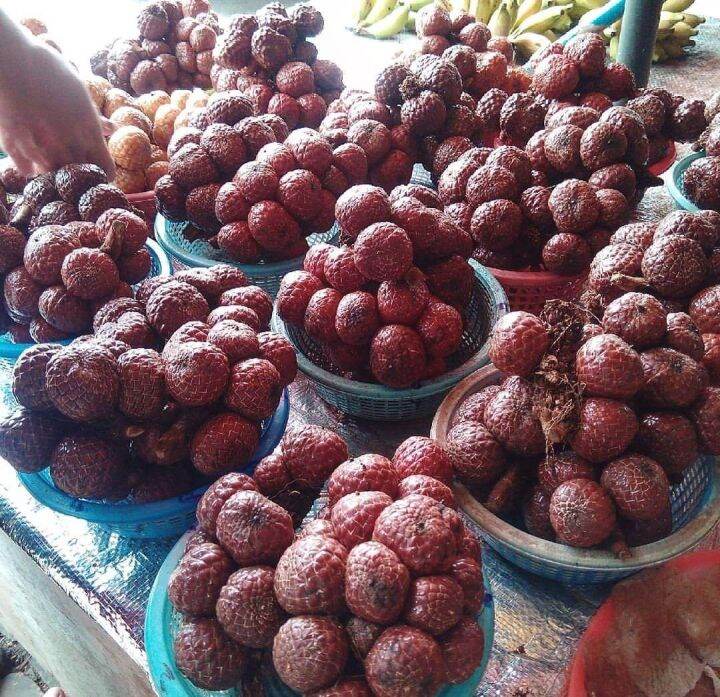 Sarawak Local Buah Asam Maram | Lazada