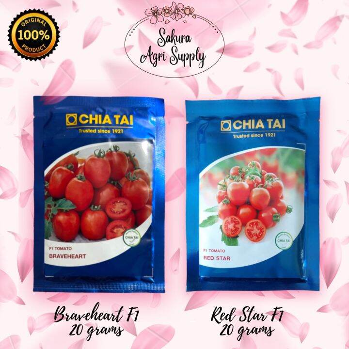 BRAVEHEART F1 CHIA TAI SEED HYBRID TOMATO KAMATIS SEEDS 20g | Lazada PH