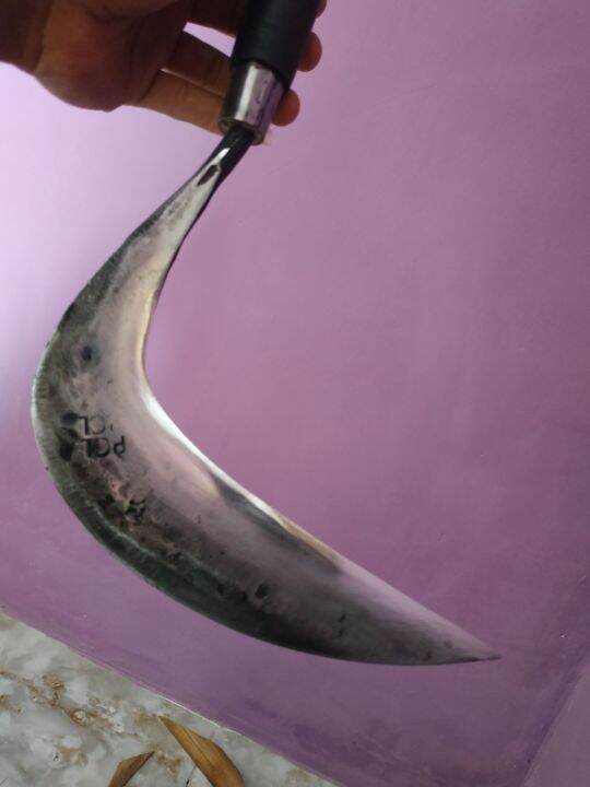 ARIT SABIT asli dari baja per/arit sabit pemangkas rumput dan padi Arit asli buatan Garut Jawa ...