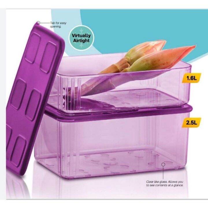 Tupperware Fresh n' Clear Large Set（2pcs） | Lazada