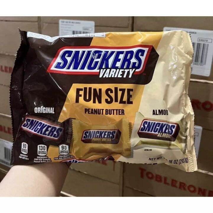 Snickers Variety Fun Size 293g | Lazada PH