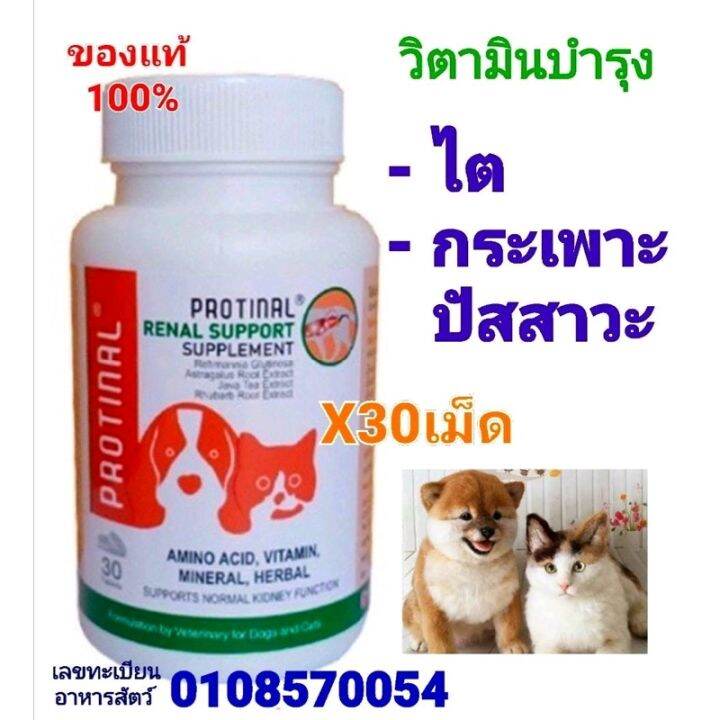 protinalวิตามินบํารุงไตและกระเพาะปัสสาวะในสุนัขแมว30เม็ด | Lazada.co.th