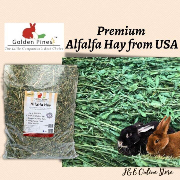 Golden Pines Alfalfa Hay 1kg | Lazada