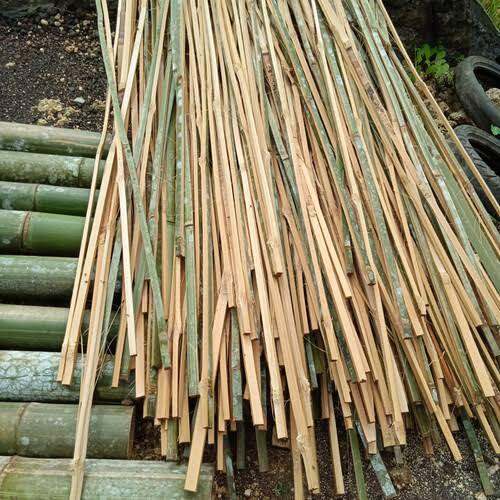 10 Pcs Ajir Bilah Bambu Penyangga Tanaman / Tiang Bambu Penyangga ...