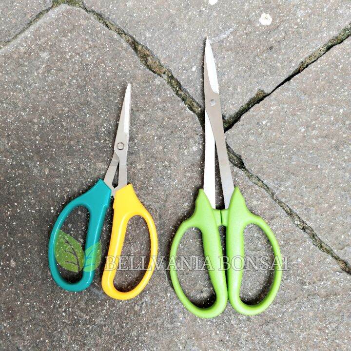 Gunting Prunning Sekali Beli Dapat 2 Jenis Gunting | Lazada Indonesia