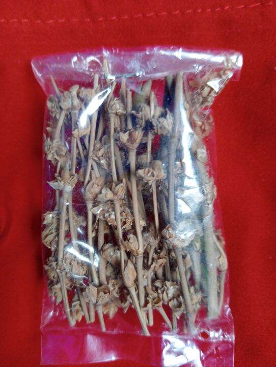 bulaklak ng kawayan | Lazada PH