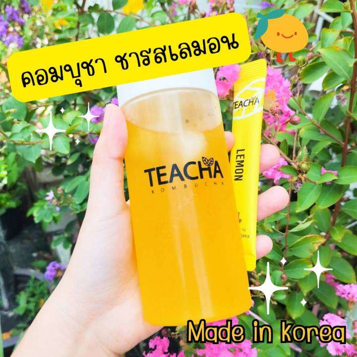 teacha kombucha คอมบุชา ชาเกาหลี คิมซอนโฮ | Lazada.co.th