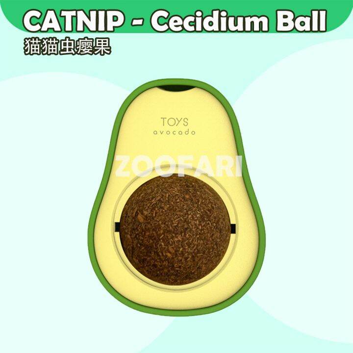 Catnip Cecidium Mint Rotated Ball Cat Toy Teaser Licking Toy, avocado catnip, icecream catnip ...