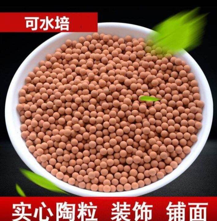 500g HYDROTON CLAY leca balls HYDROTON PEBBLES | Lazada PH