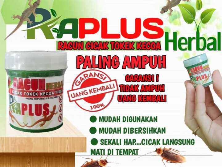 RACAK RAPLUS RACUN CICAK HERBAL 20 gr BASMI CICAK TOKEK DAN KECOA ...