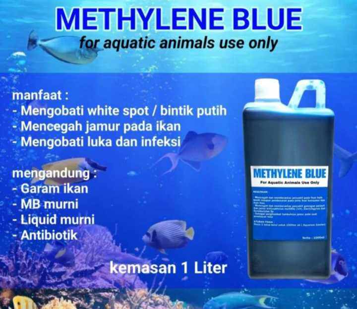 Methylene blue 1 liter | Lazada Indonesia