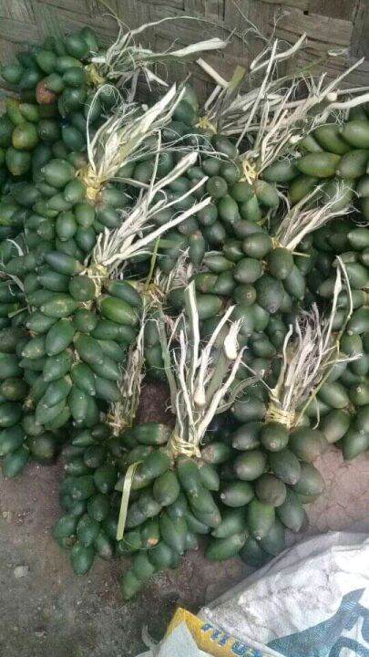 Buah pinang muda 500 gram | Lazada Indonesia