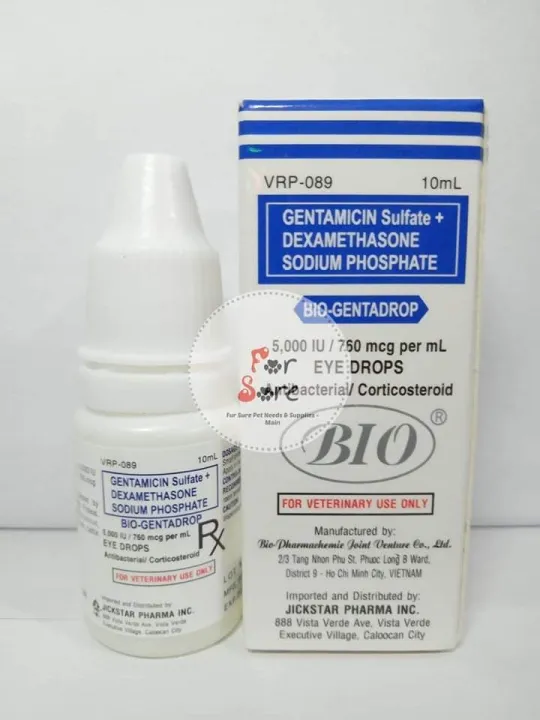 Bio-Gentadrop Eyedrops for Pets (10ml) | Lazada PH