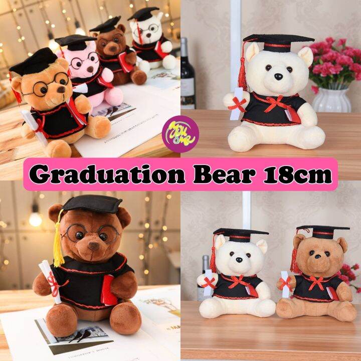 Graduation bear 18cm patung Convocation Graduation soft toy bear ...