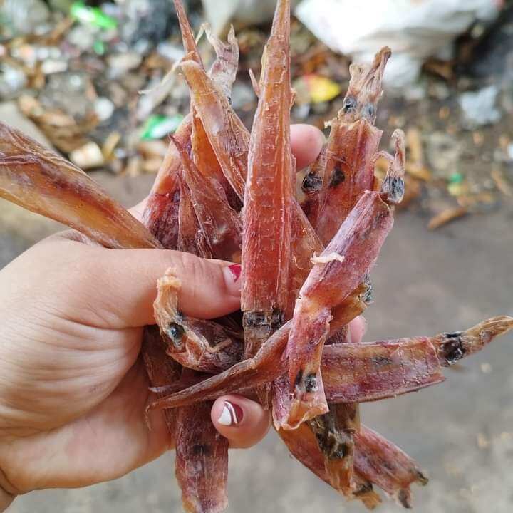 daing na pusit | Lazada PH