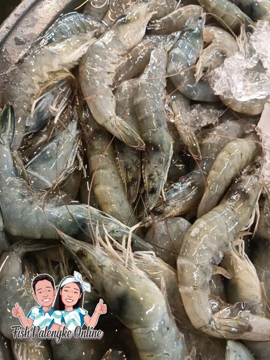 Hipon Large 30-35 pcs 1kg, Hipon, Shrimp Large Size | Lazada PH