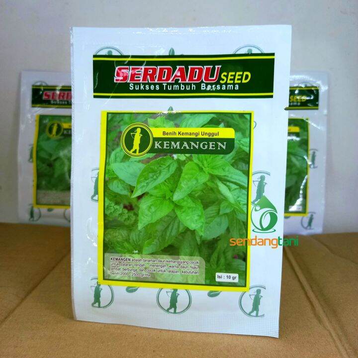 Kemangi KEMANGEN 10 gr Benih Bibit Kemangi Unggul dari Serdadu Seed ...
